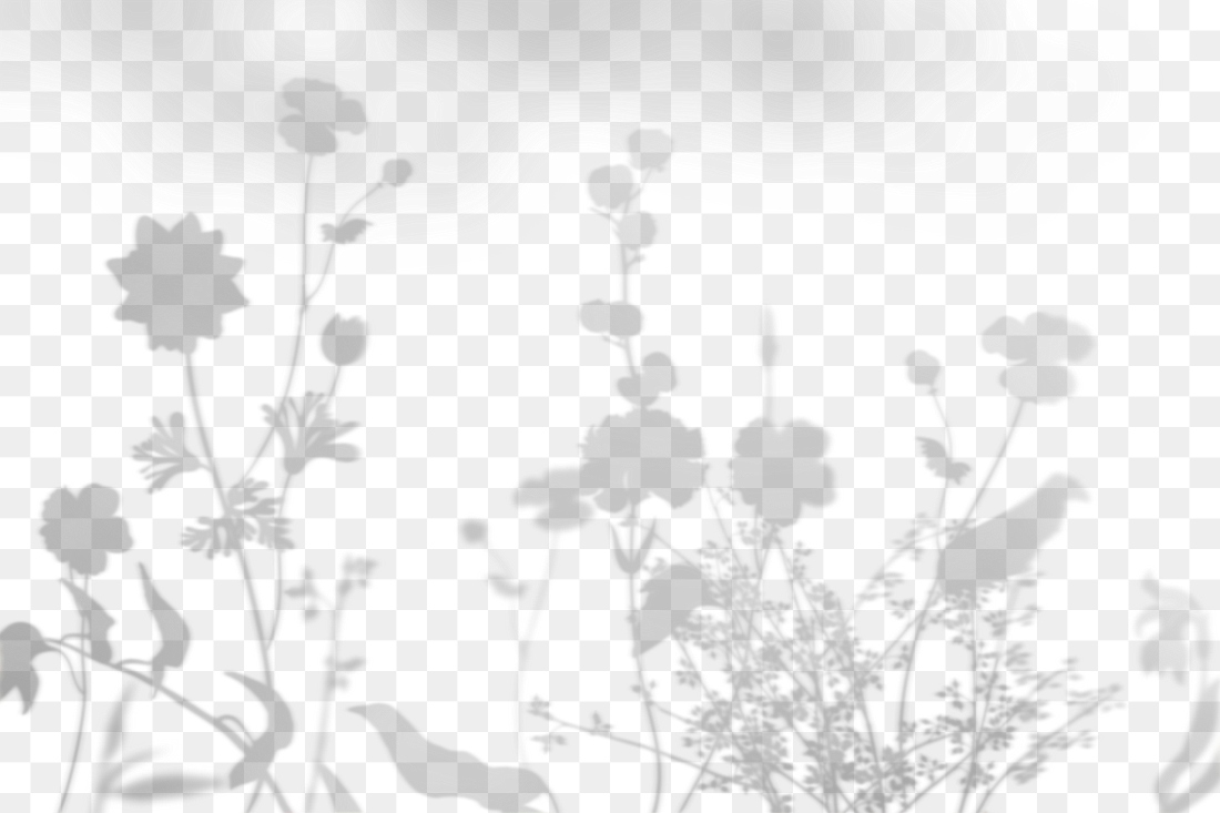 PNG floral field shadow design | Premium PNG - rawpixel