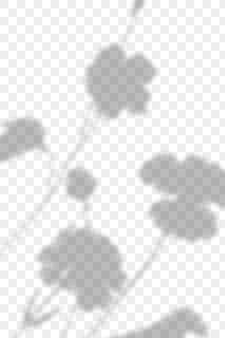 PNG cute flower shadow design | Premium PNG - rawpixel