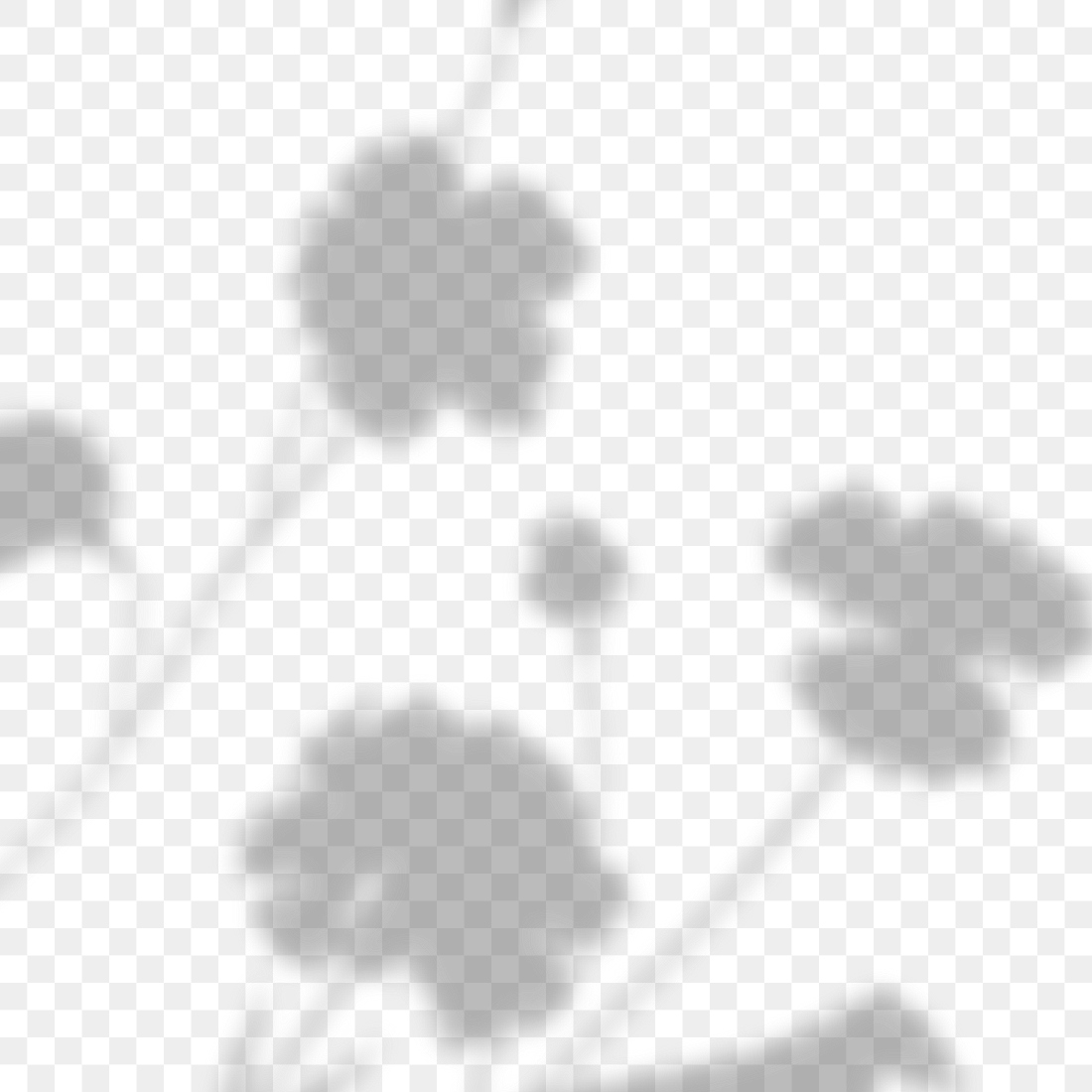 PNG cute flower shadow design | Premium PNG - rawpixel