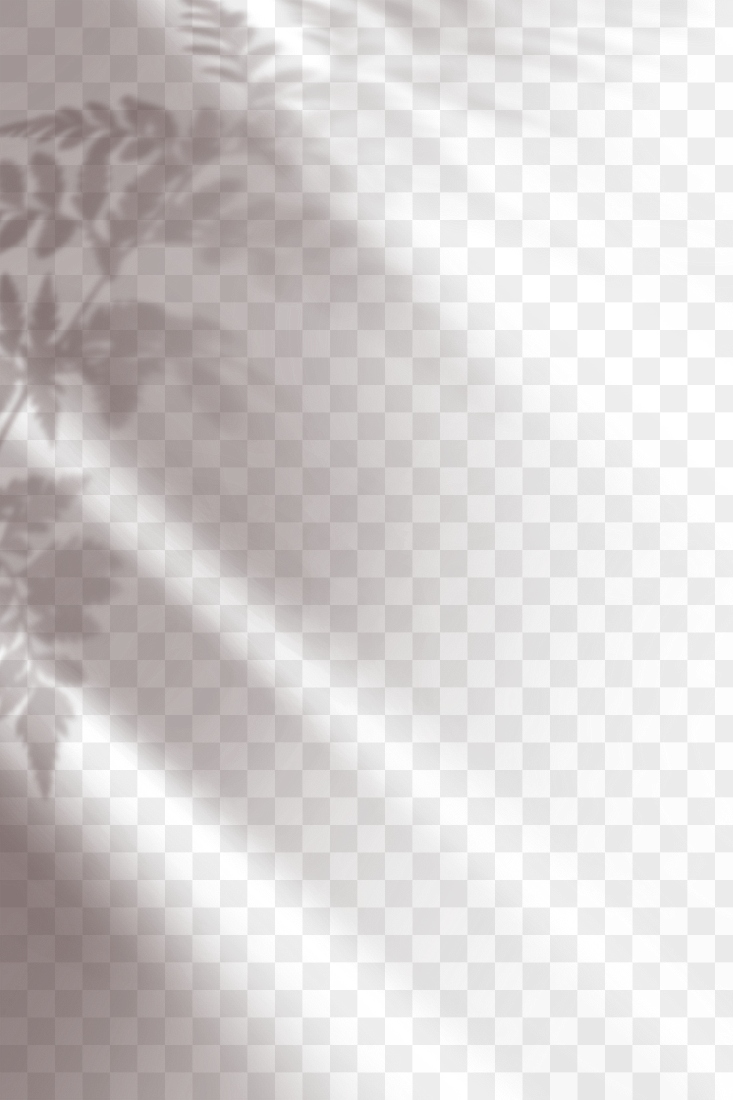 PNG leaves shadow design element | Premium PNG - rawpixel