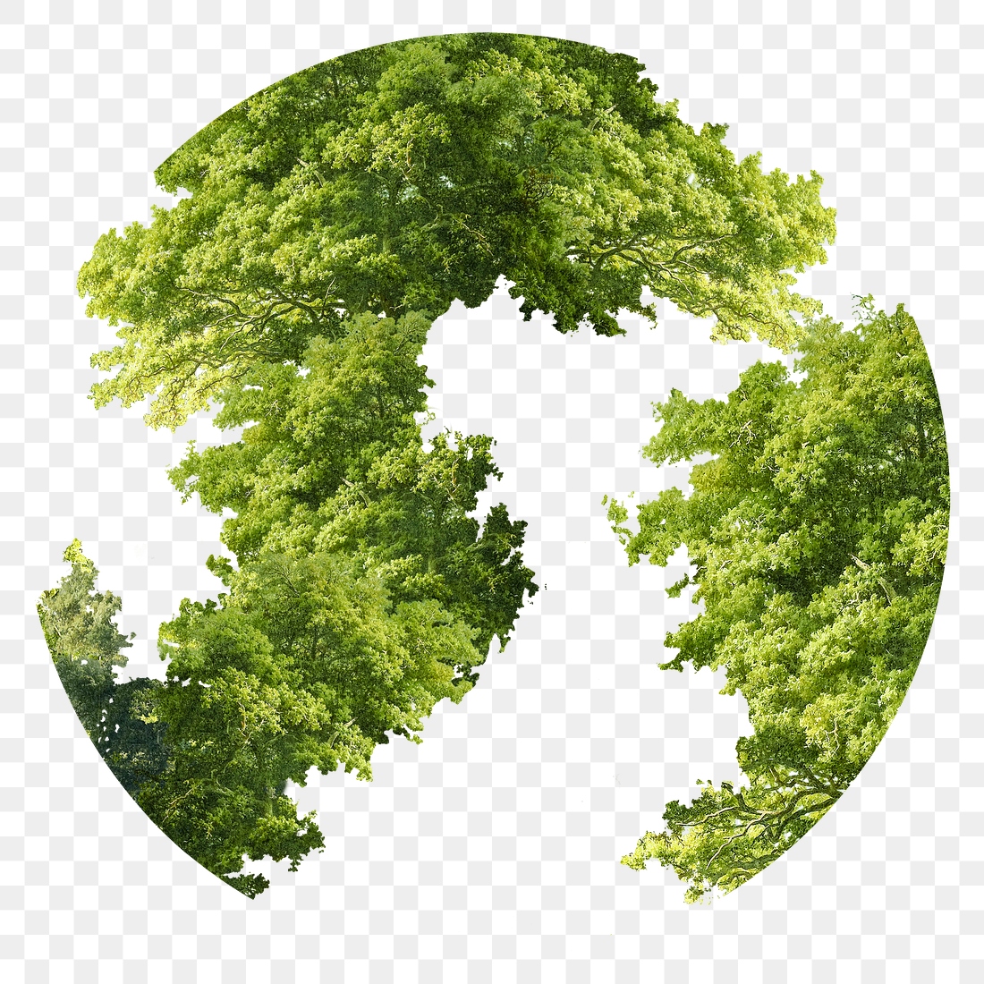 Png earth day graphic trees | Premium PNG Sticker - rawpixel