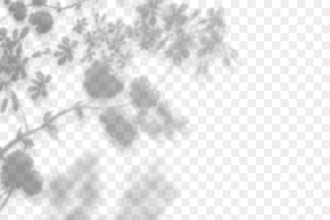 Png flower shadow background, botanical | Premium PNG - rawpixel