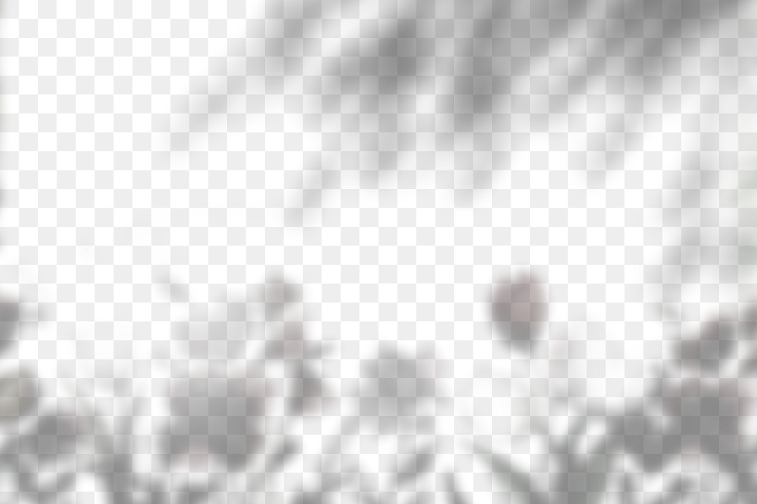 Png plant shadow background, botanical | Premium PNG - rawpixel