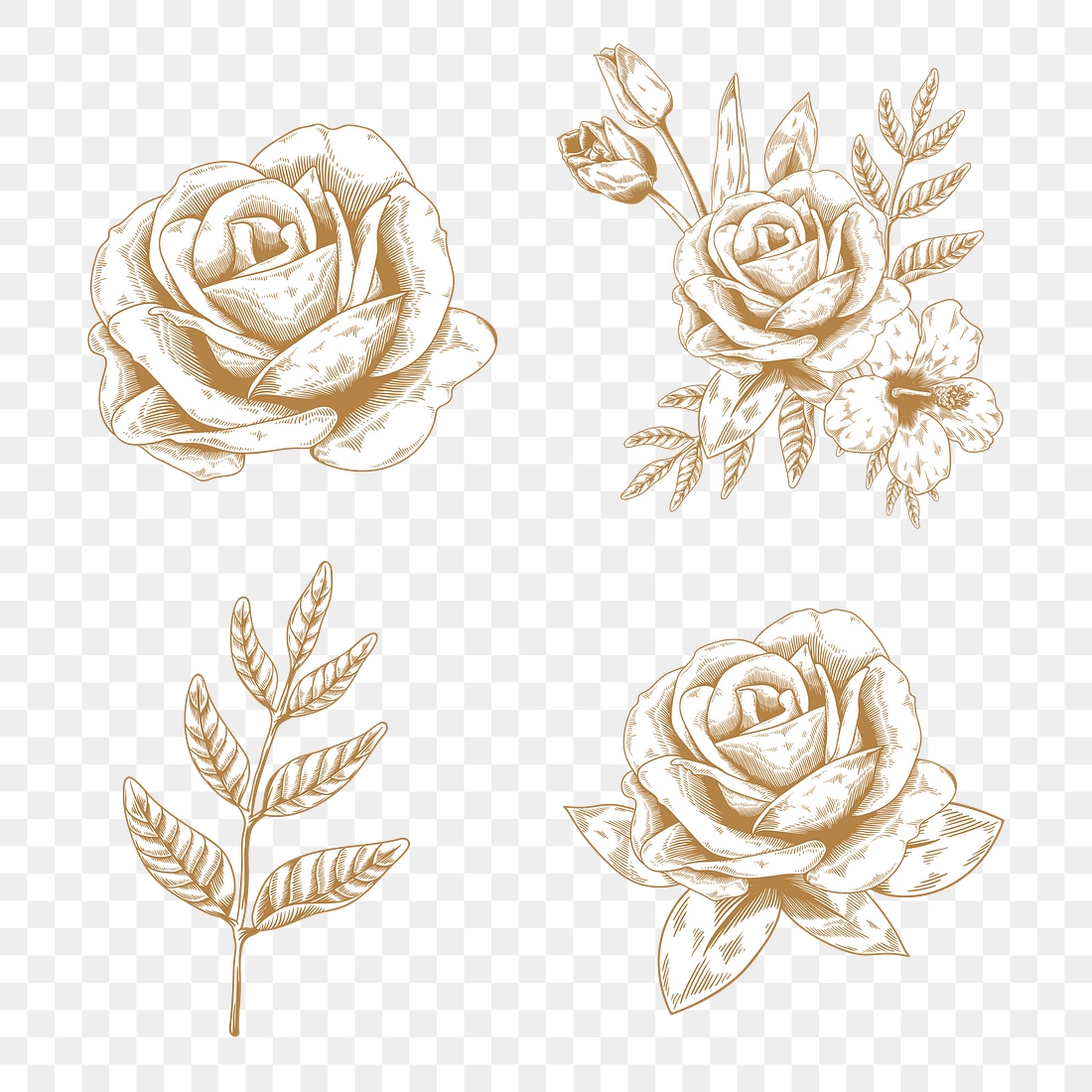 Gold rose and leaf sticker | Premium PNG - rawpixel