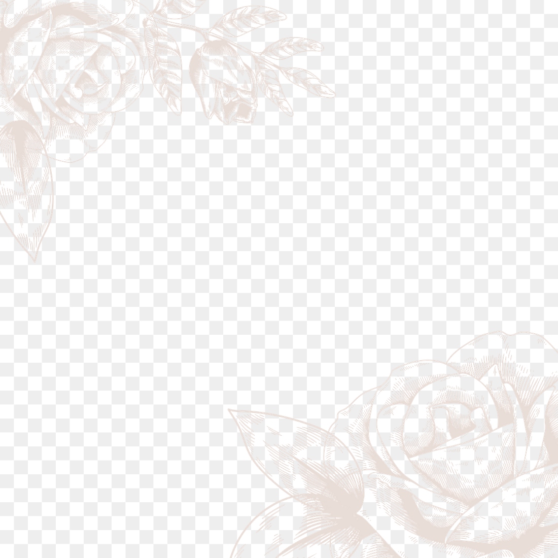 Hand drawn beige rose border | Premium PNG - rawpixel