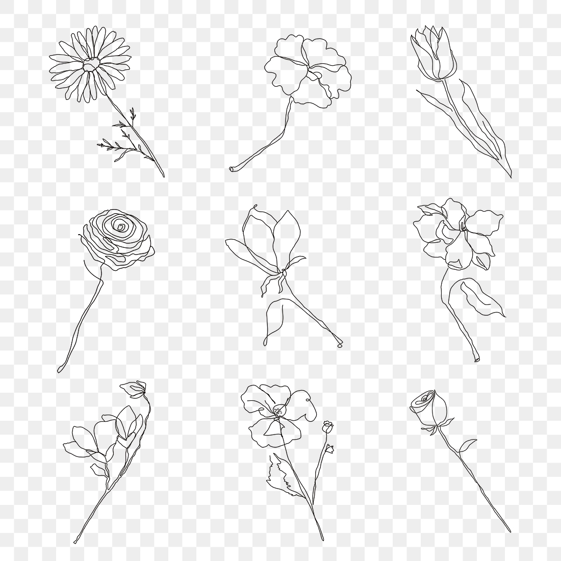 Png flower hand drawn set | Premium PNG - rawpixel