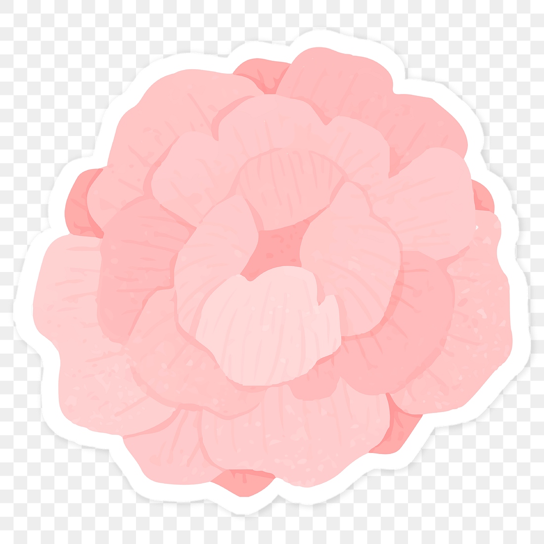 Pink hydrangea flower sticker transparent | Premium PNG Sticker - rawpixel