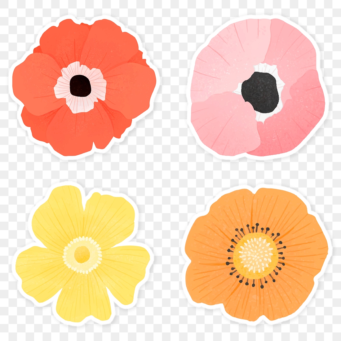 Colorful floral sticker set transparent | Premium PNG - rawpixel
