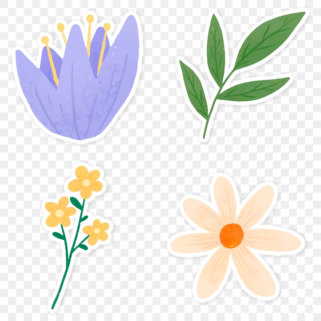 Colorful floral sticker set transparent | Premium PNG - rawpixel