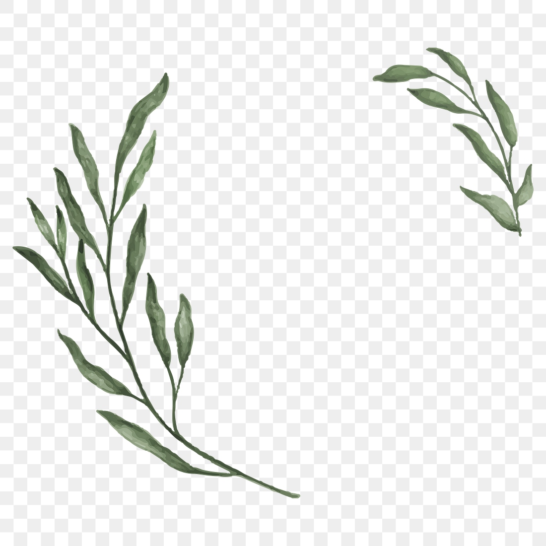 Minimal floral frame transparent png | Premium PNG Sticker - rawpixel