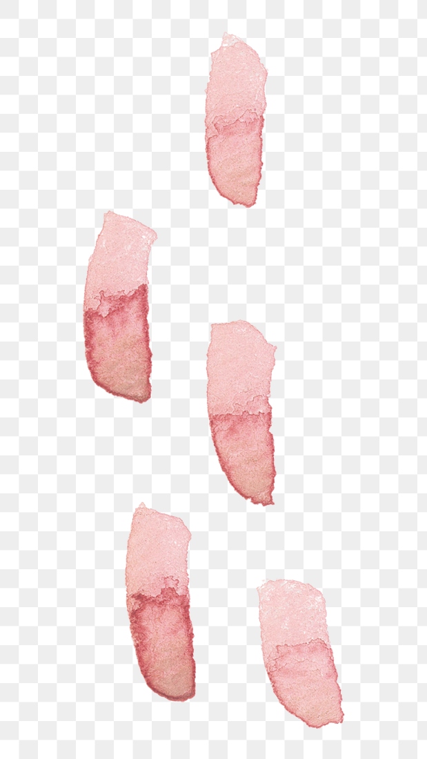 Neutral watercolor elements transparent png | Premium PNG - rawpixel