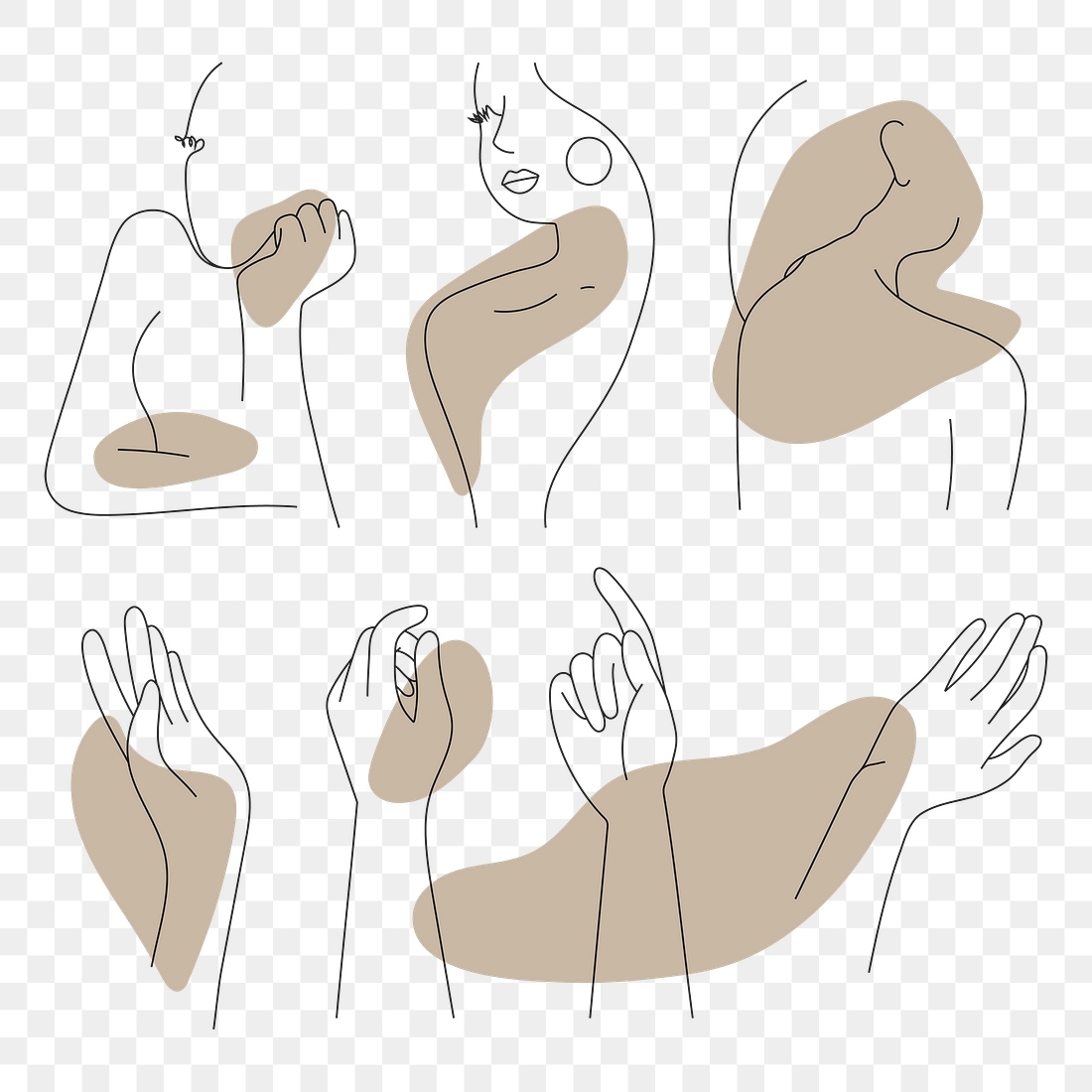 Feminine line art collection transparent | Premium PNG - rawpixel