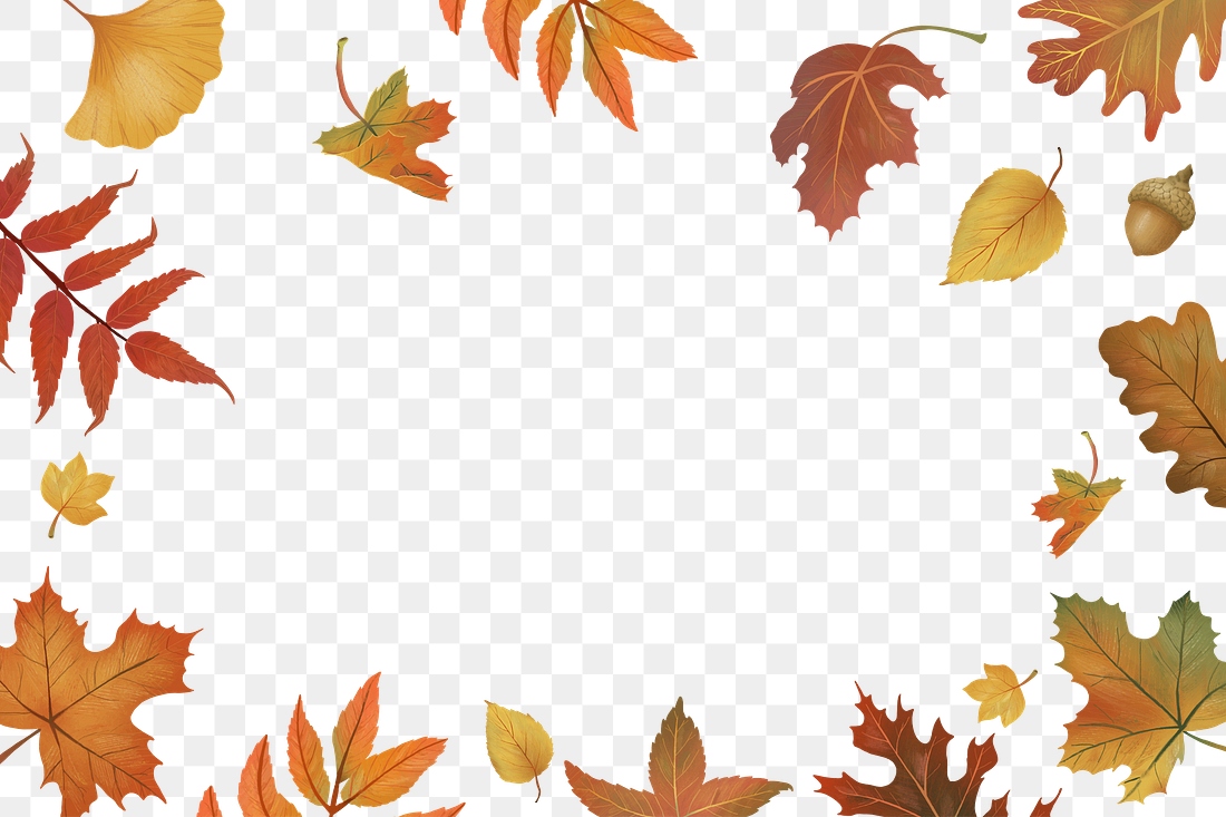 Png autumn leaves frame transparent | Premium PNG - rawpixel