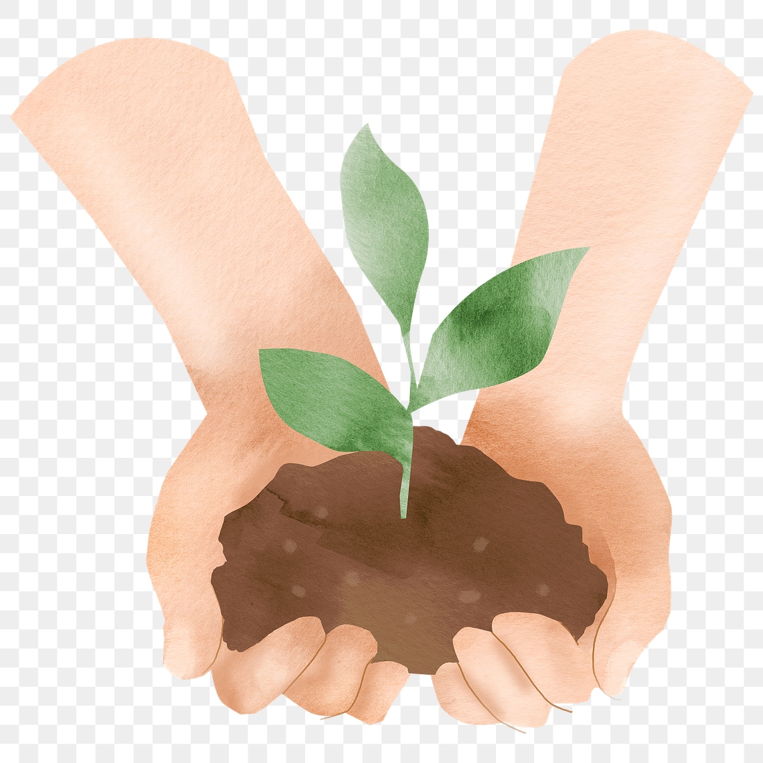 Png hand cupping plant design | Premium PNG Sticker - rawpixel
