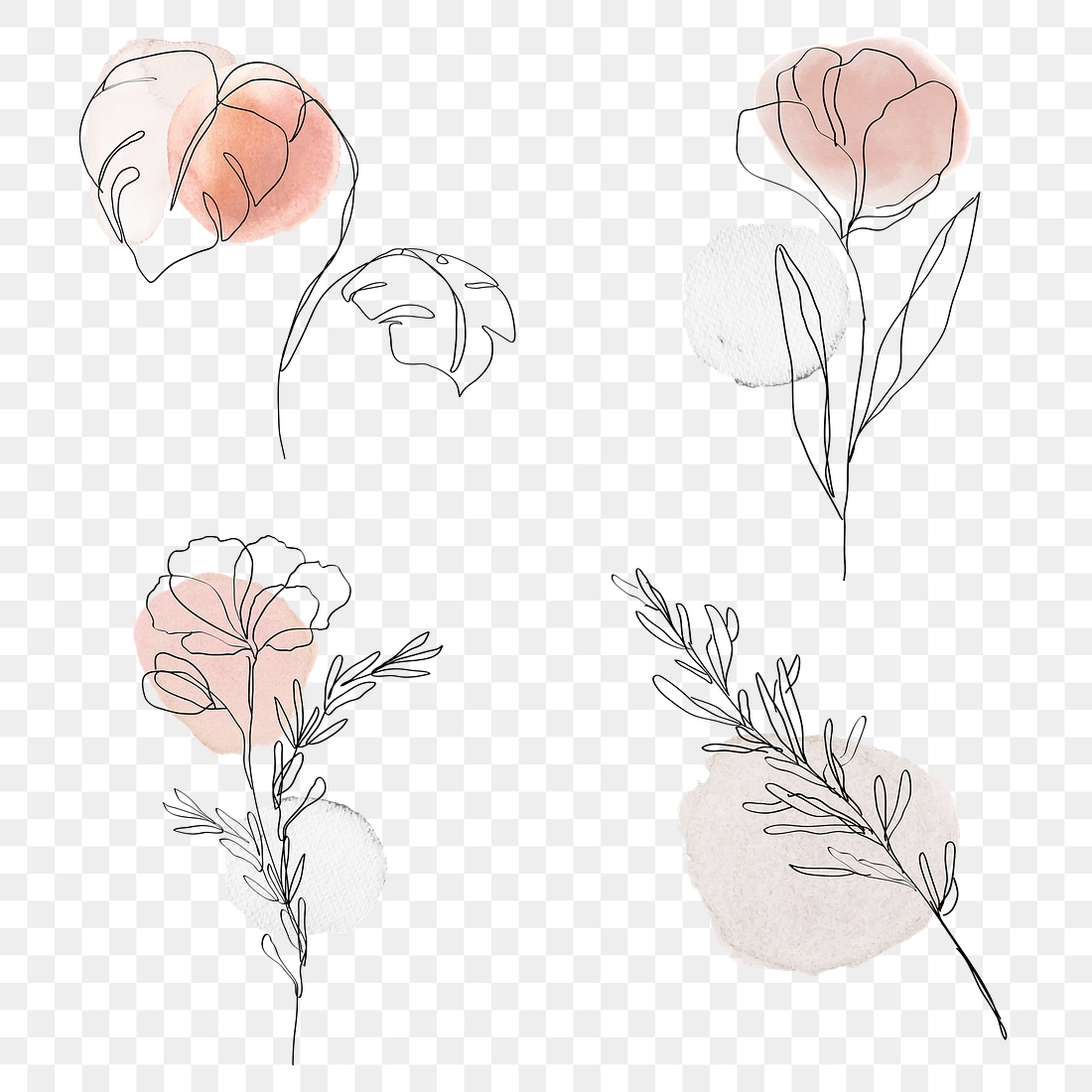 Flowers png pastel and black | Premium PNG - rawpixel