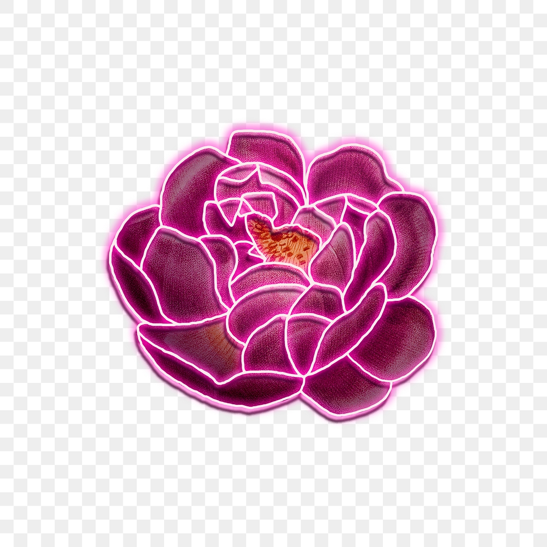 Neon pink rose transparent png | Premium PNG Sticker - rawpixel
