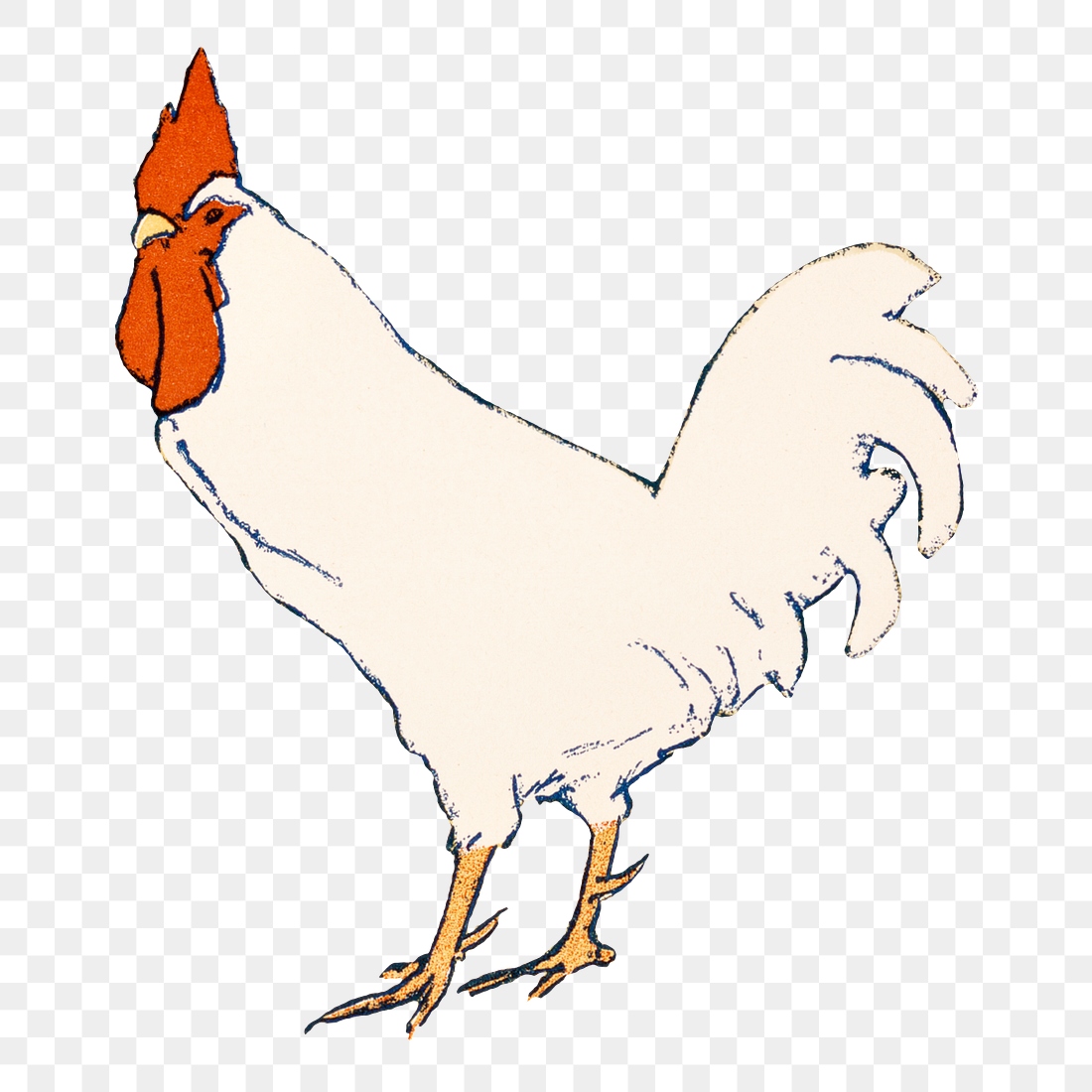 Chicken png sticker animal art | Premium PNG Sticker - rawpixel