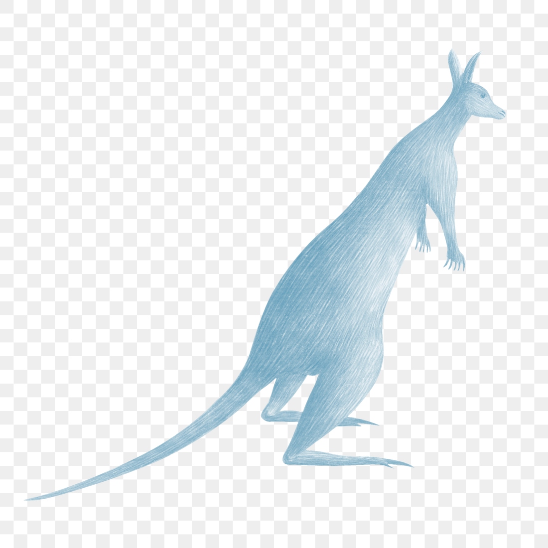 Blue kangaroo vintage illustration transparent | Premium PNG Sticker ...