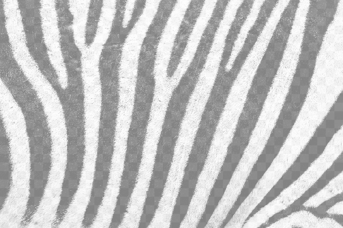Zebra pattern png overlay, abstract | Free PNG - rawpixel