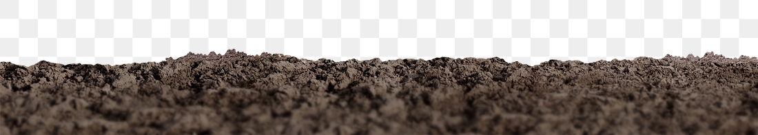 Soil border png, transparent background | Premium PNG - rawpixel