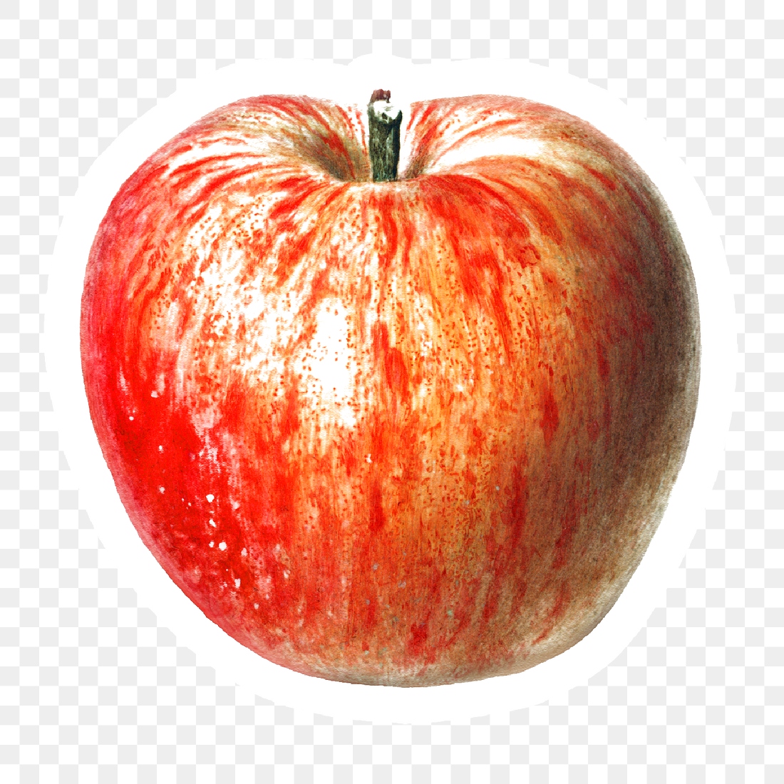 Hand drawn red apple sticker | Premium PNG Sticker - rawpixel