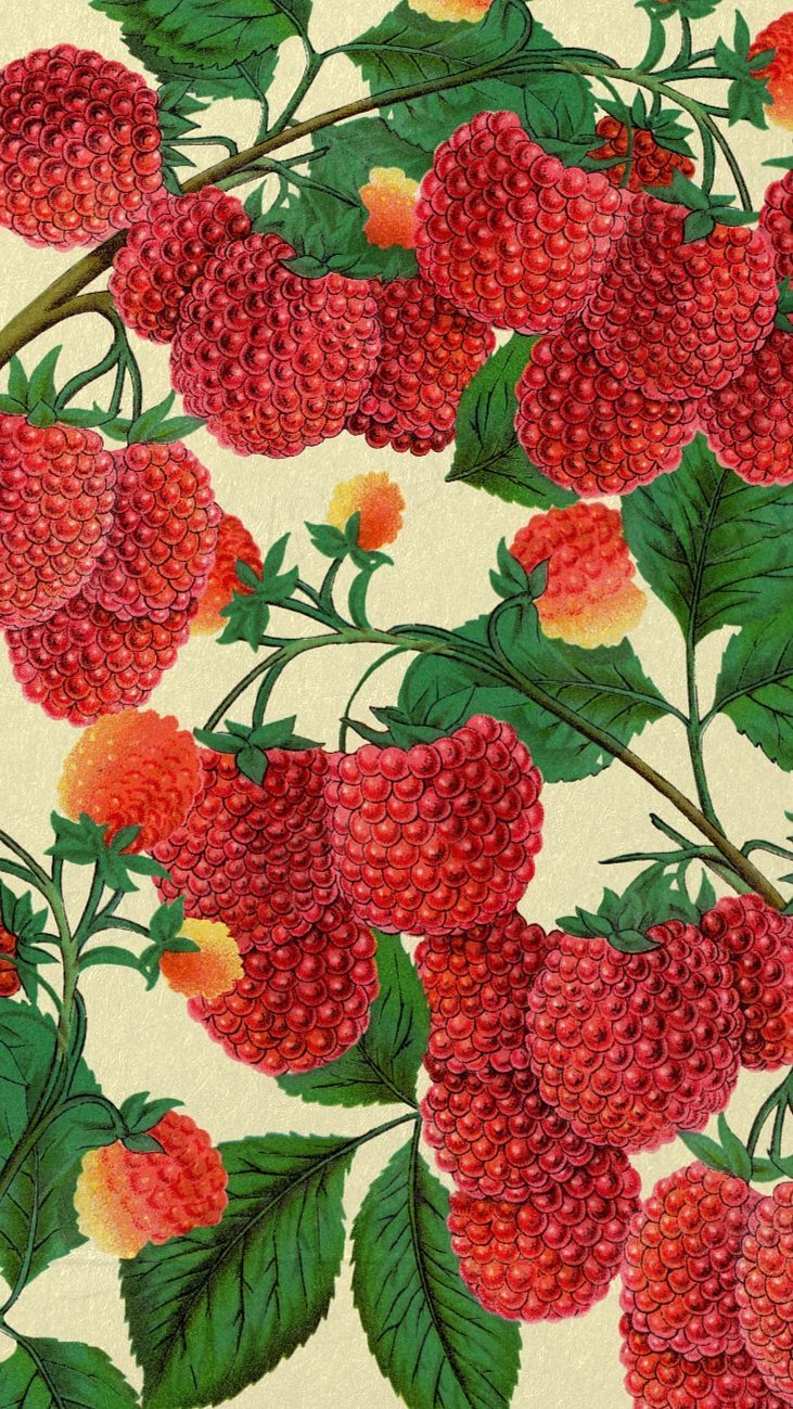 Raspberry iPhone wallpaper, editable design | Free Editable Design ...