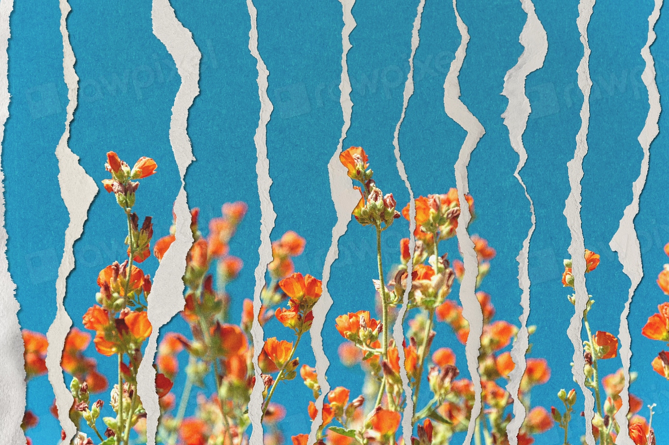 Ripped Paper Effect | Premium Photo Effects & Filters - rawpixel