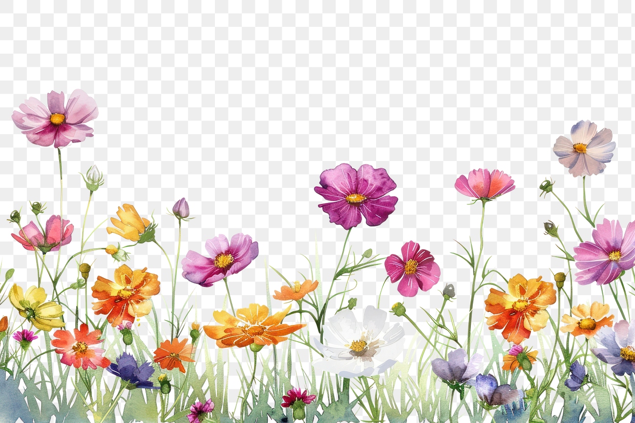 PNG Colorful wildflowers watercolor illustration | Free PNG - rawpixel