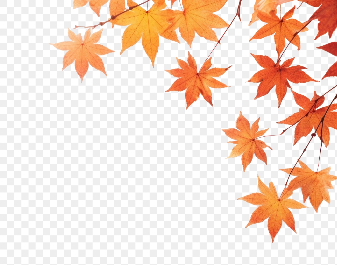 PNG Autumn leaves border, transparent | Premium PNG - rawpixel