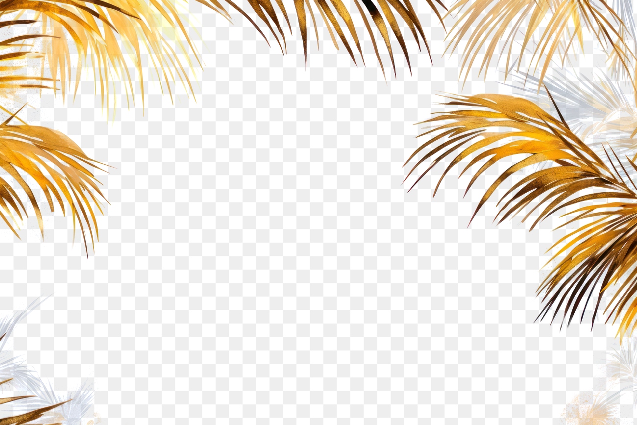 PNG Palm tree border frame | Free PNG Illustration - rawpixel