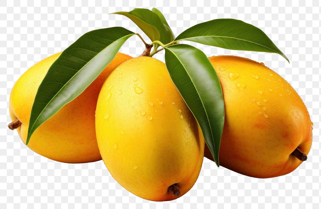 PNG Mango fruit plant food | Premium PNG - rawpixel