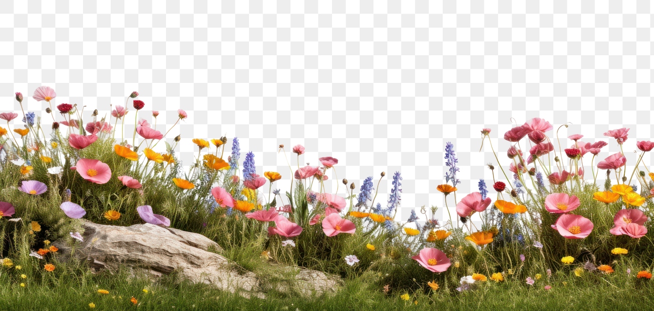 PNG Flower landscape grassland outdoors | Free PNG - rawpixel