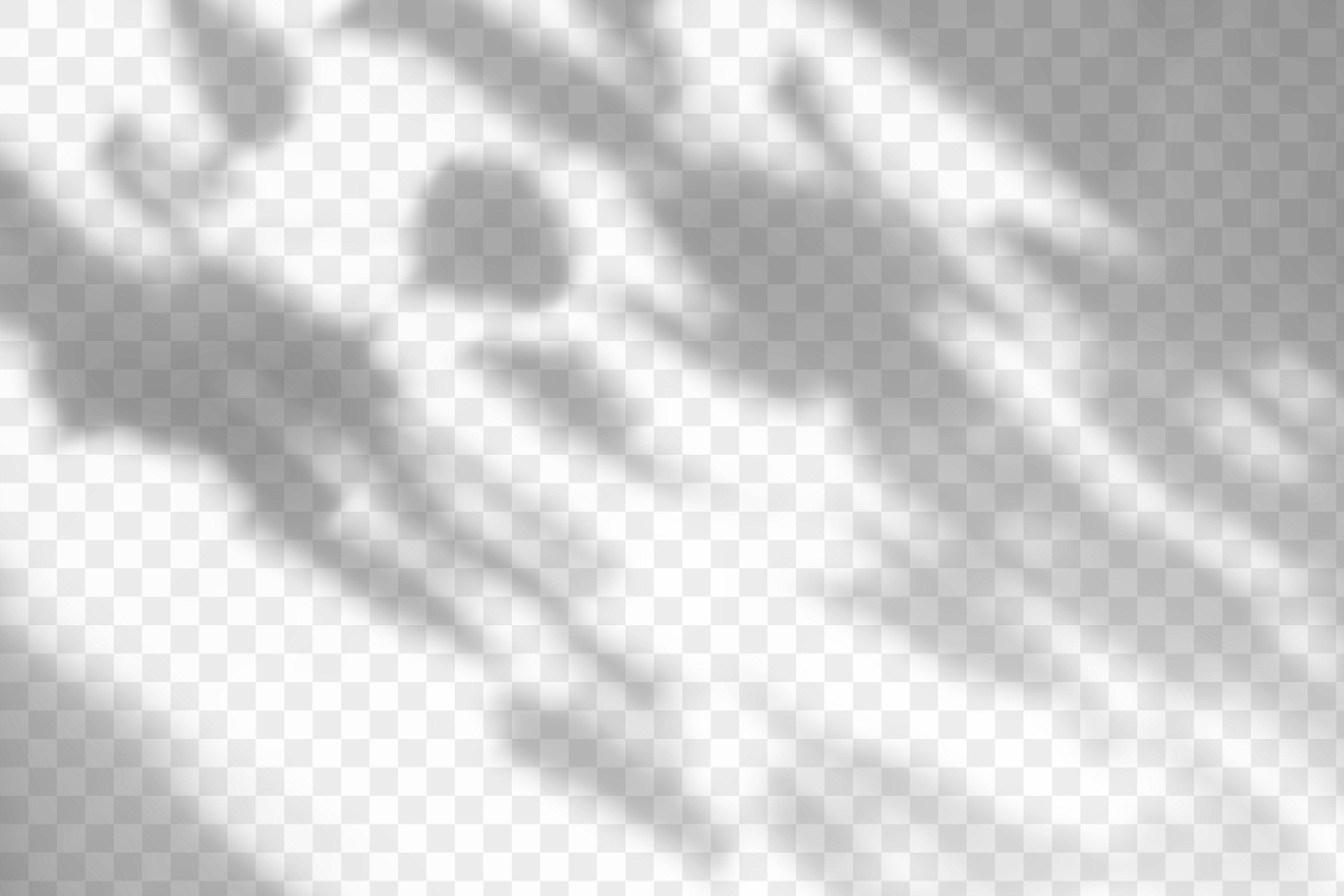 Tree shadow png overlay effect | Premium PNG - rawpixel
