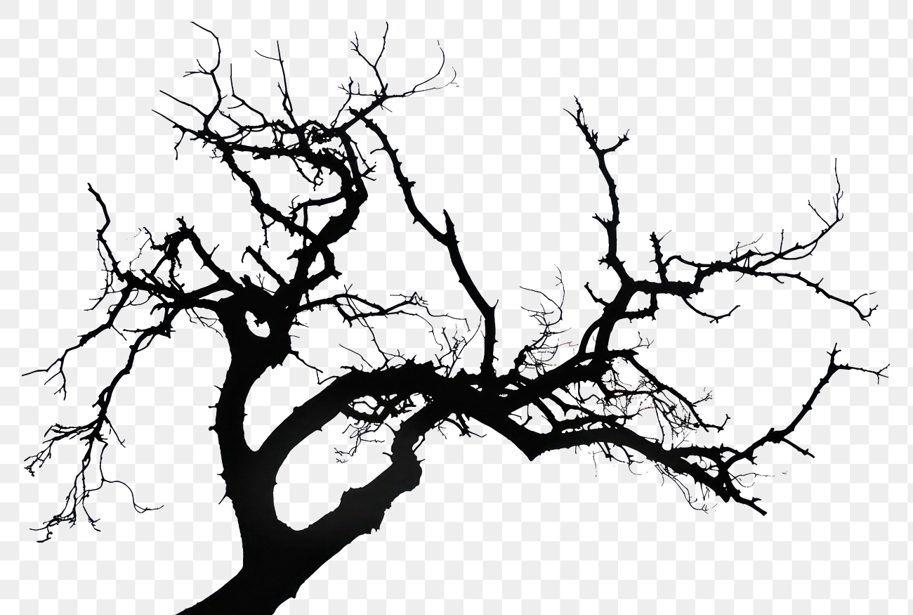 PNG Dead tree silhouette clip | Premium PNG - rawpixel
