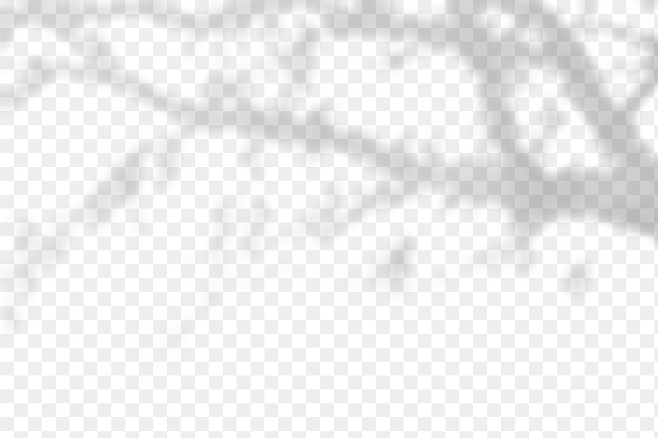 Tree shadow png overlay effect | Premium PNG - rawpixel
