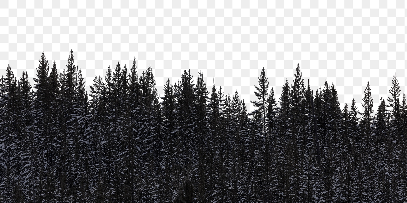 Forest png border, transparent background | Free PNG - rawpixel