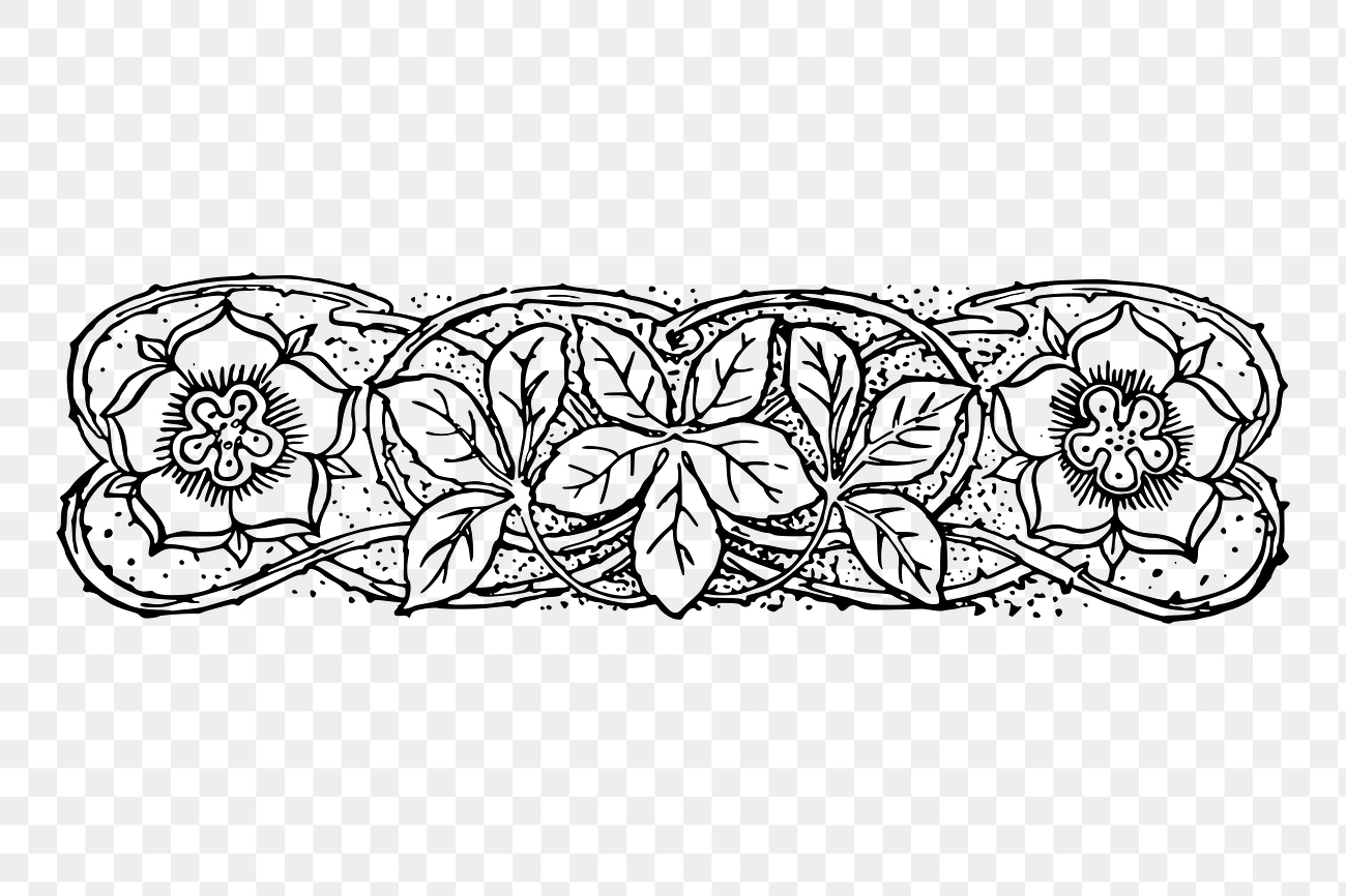 Floral divider png sticker nature | Free PNG - rawpixel