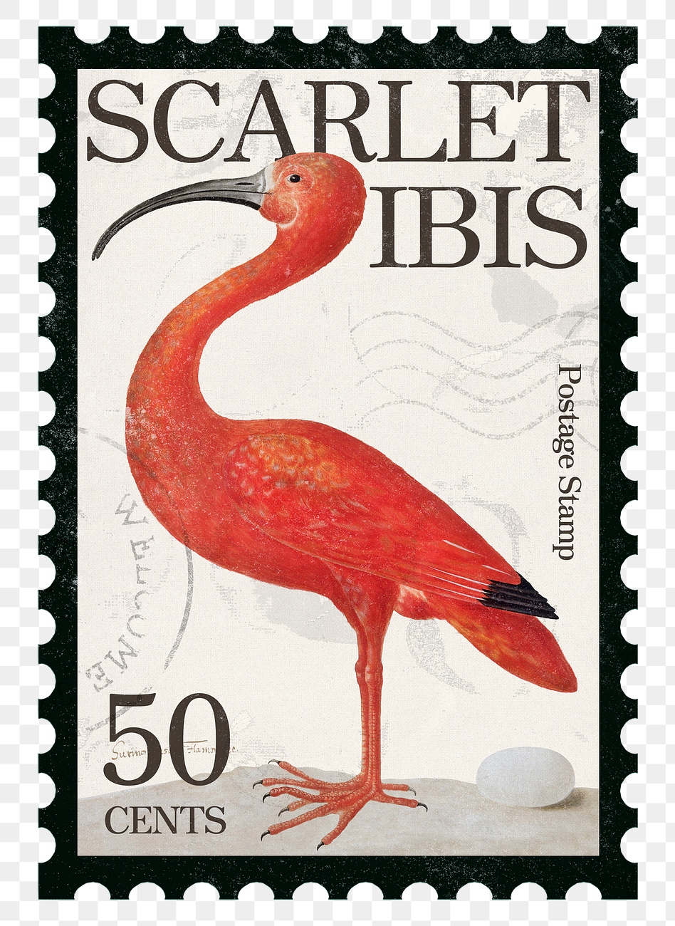 Red bird png post stamp, | Premium PNG - rawpixel