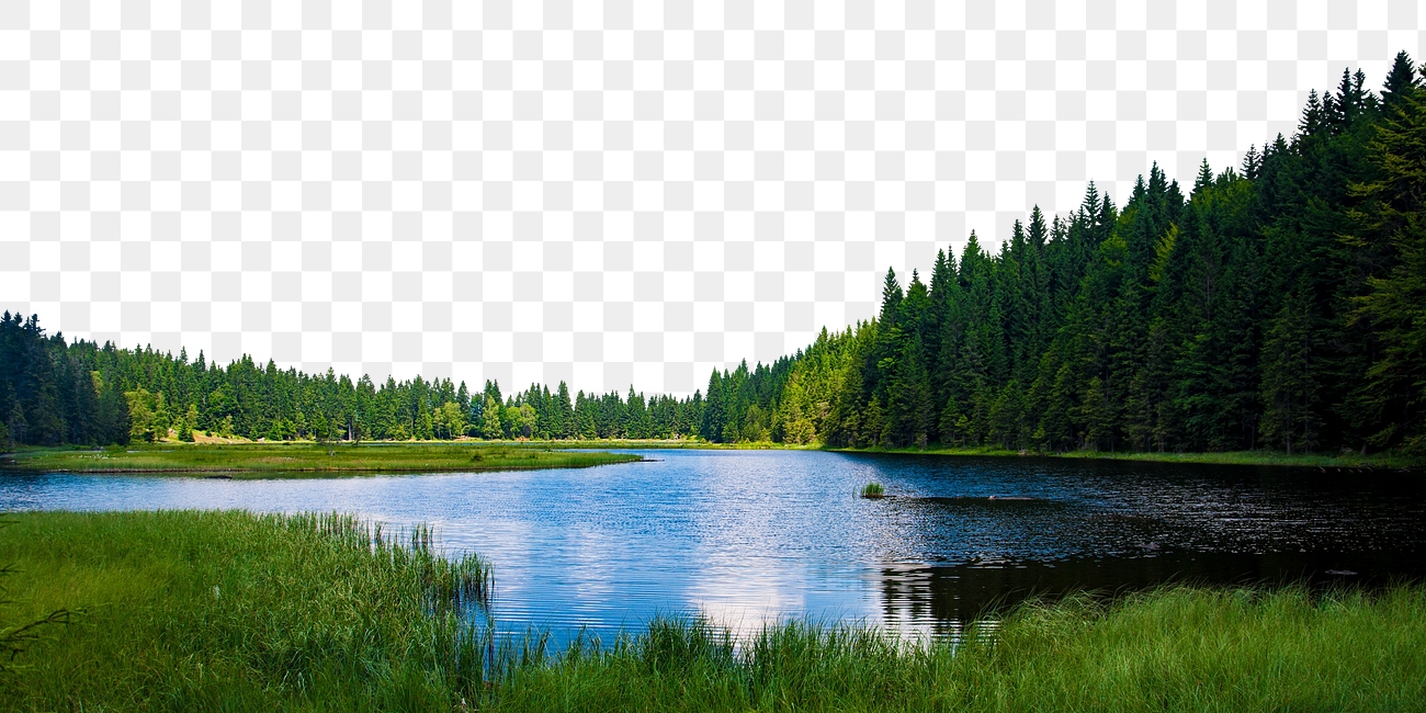 Forest lake png border, transparent | Free PNG - rawpixel