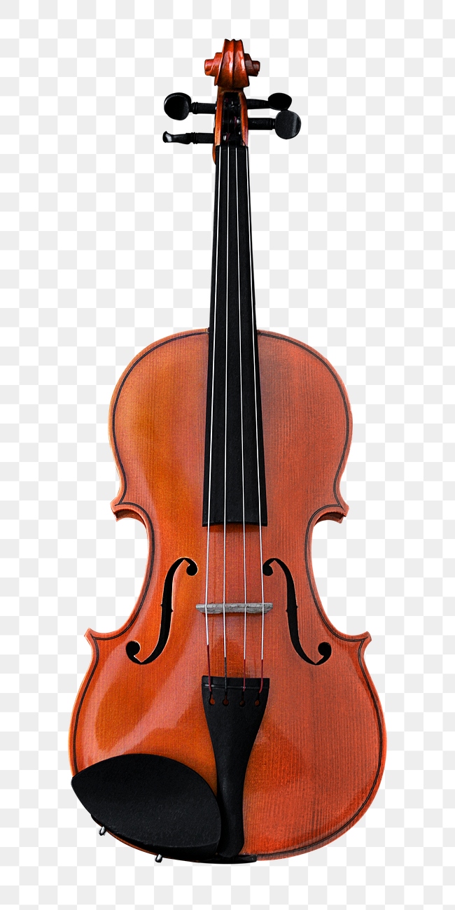 Violin png sticker, transparent background | Free PNG - rawpixel