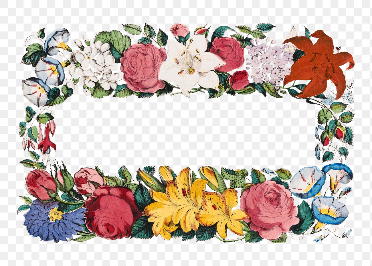 Aesthetic floral frame png transparent | Premium PNG - rawpixel