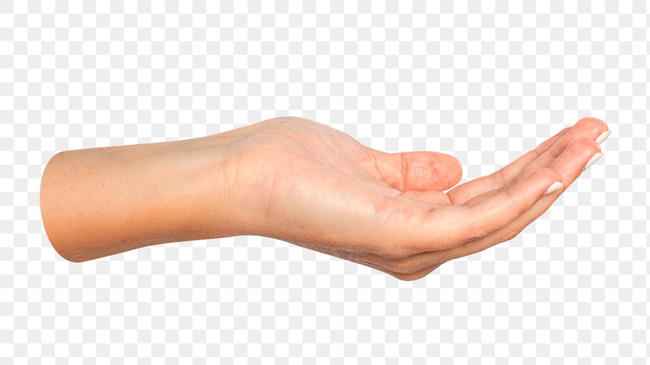 Cupped hand png sticker, transparent | Premium PNG - rawpixel