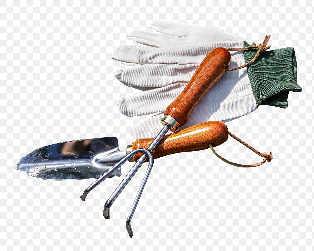 Garden tools png sticker, transparent | Free PNG - rawpixel