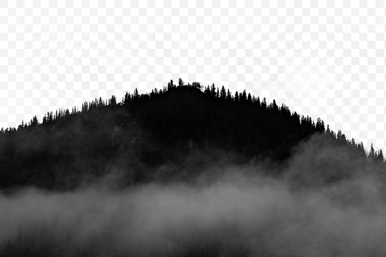 Stormy forest png border, transparent | Free PNG - rawpixel