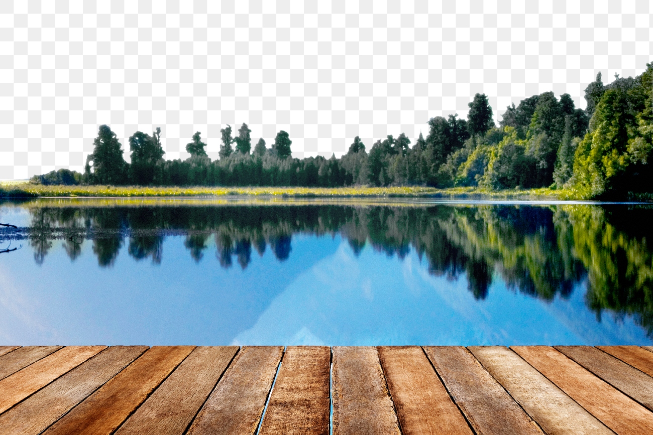 Water reflection png border, transparent | Premium PNG - rawpixel