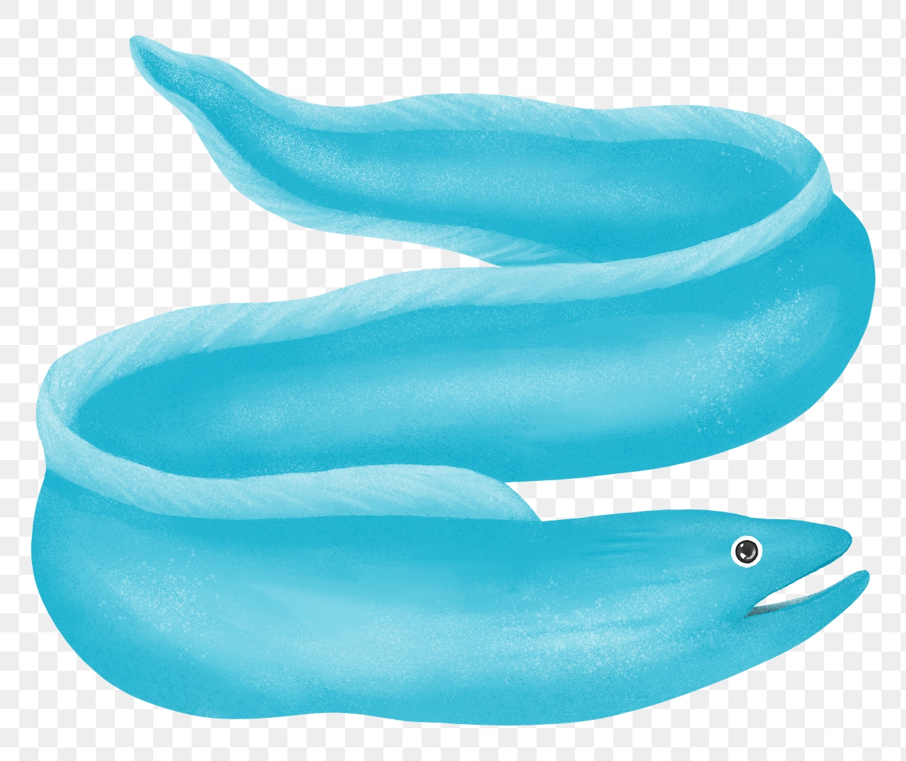 Blue eel png sticker, animal | Premium PNG - rawpixel