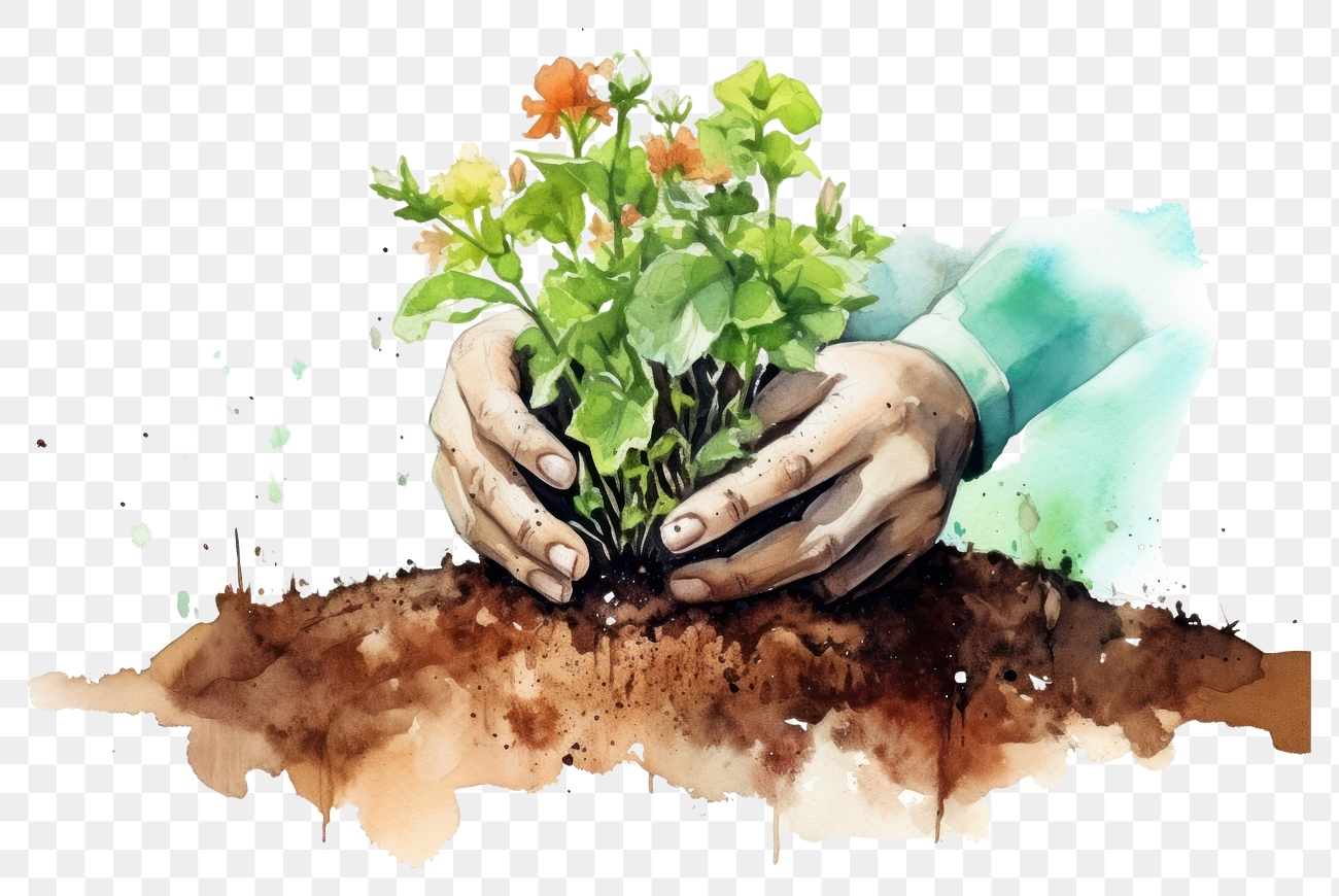 PNG Gardening planting outdoors nature. | Premium PNG - rawpixel