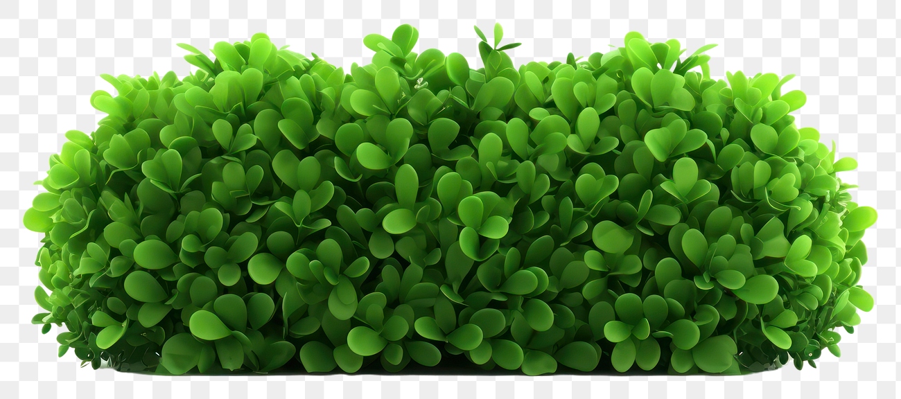 PNG Green plant hedge herbs | Premium PNG - rawpixel