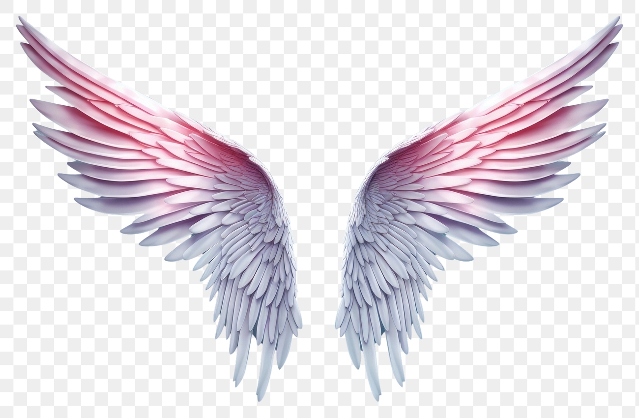 PNG Angel flying wing bird. | Free PNG - rawpixel