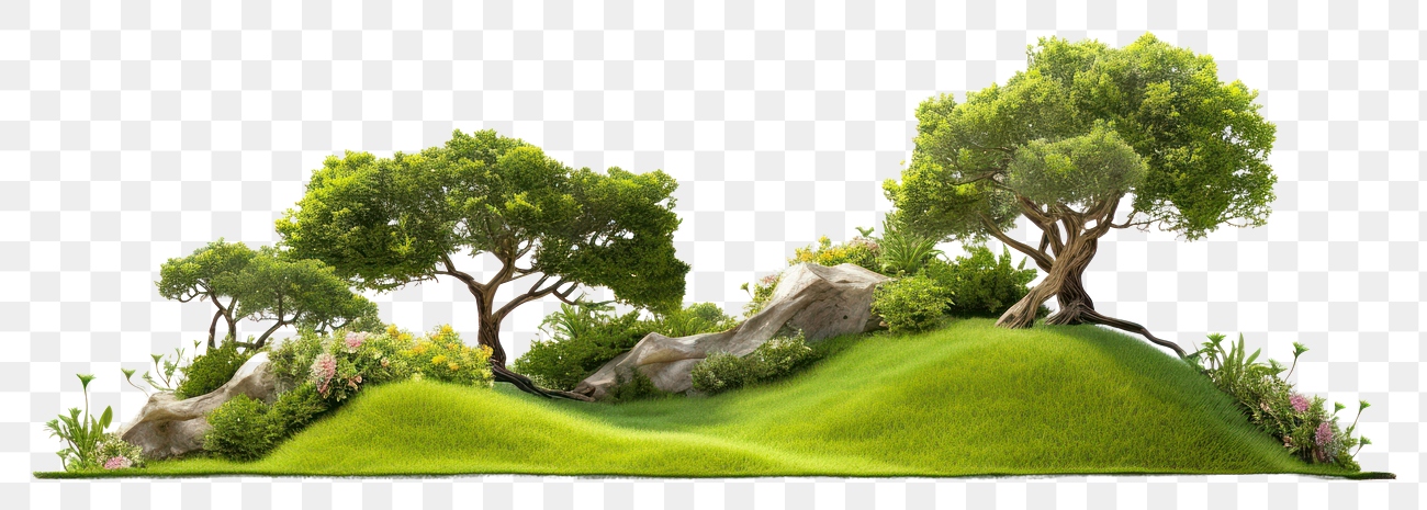PNG Vegetation grassland landscape outdoors | Premium PNG - rawpixel